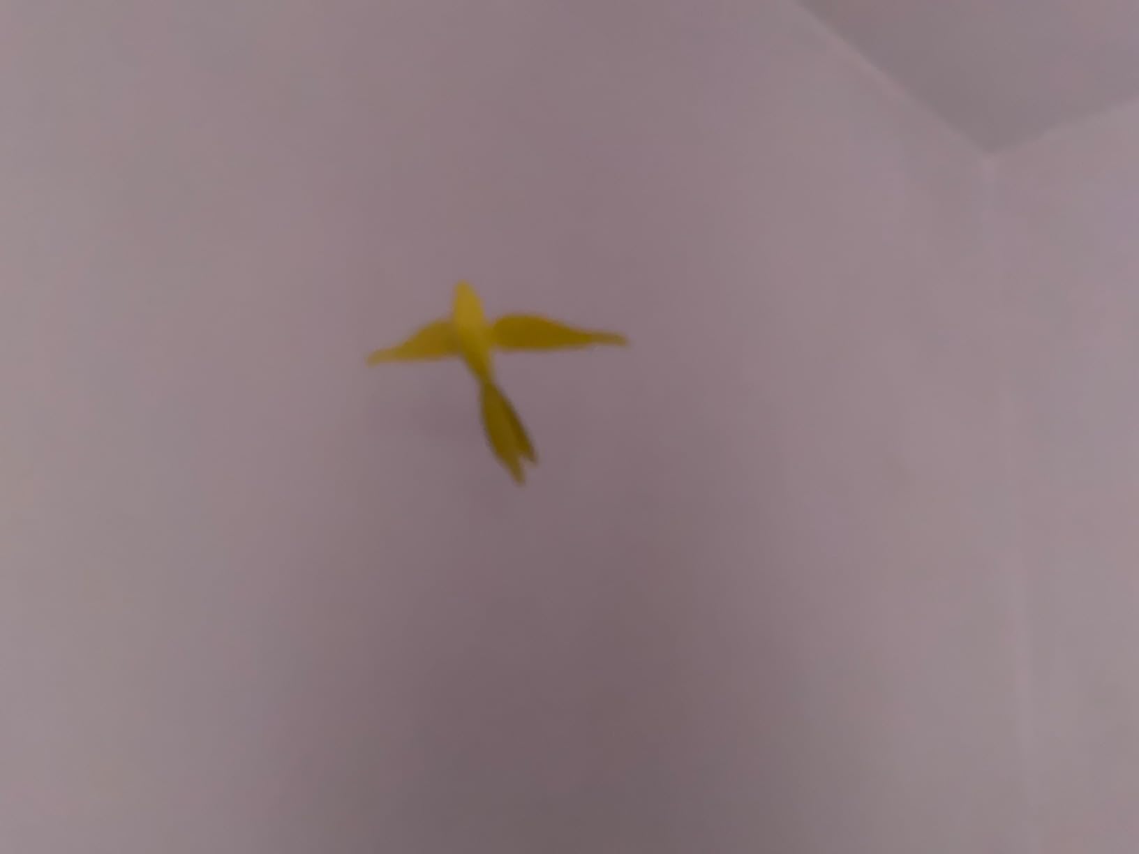 Elan Metal Hanging Decorative Rockstar Bird For Home Balcony And Garden ...