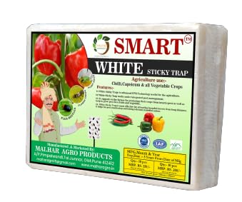 Smart White Sticky Trap for Insect at Farm & Gardens to Control Black ...