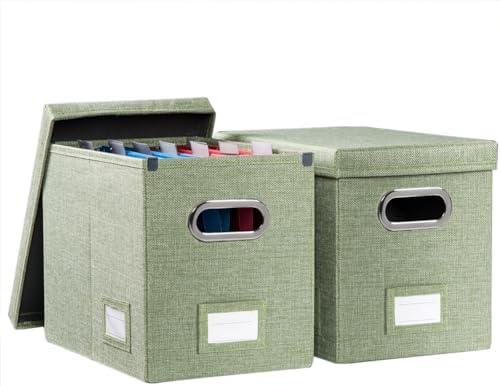 Amazon.com : PRANDOM File Organizer Box - Set of 2 Collapsible ...