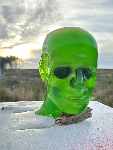 Amazon.com : Ballistic Gel Head with Zombie Skull, Blue Brain, Blue ...