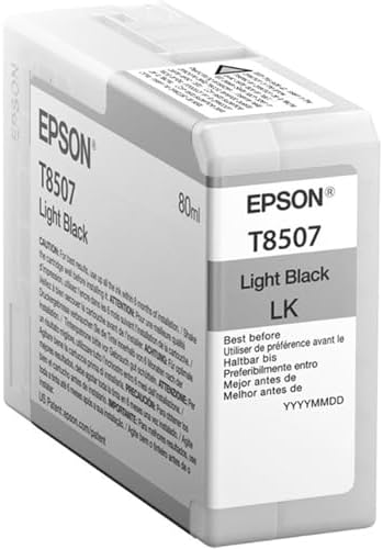 Amazon.com: Epson T850700 T850 UltraChrome HD Light Black -Ink : Office ...