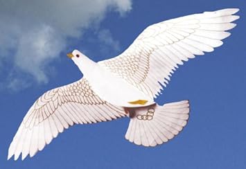 Amazon.com: Jackite Dove of Peace Kite, 42" Wingspan : Toys & Games