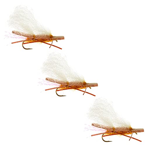 Amazon.com: Chubby Chernobyl Dry Fly by Colorado Fly Supply - 4R Golden ...
