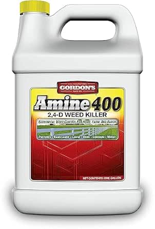 Amazon.com: GORDON'S Amine 400 2,4-D Weed Killer, 1 Gallon, 8141072 ...