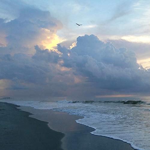 Play Ocean Blvd Blues by BLP Brian Lucas Project on Amazon Music