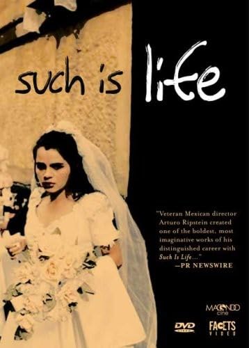 Such Is Life [Reino Unido] [DVD]: Amazon.es: Ramirez, Arcelia Ramirez ...