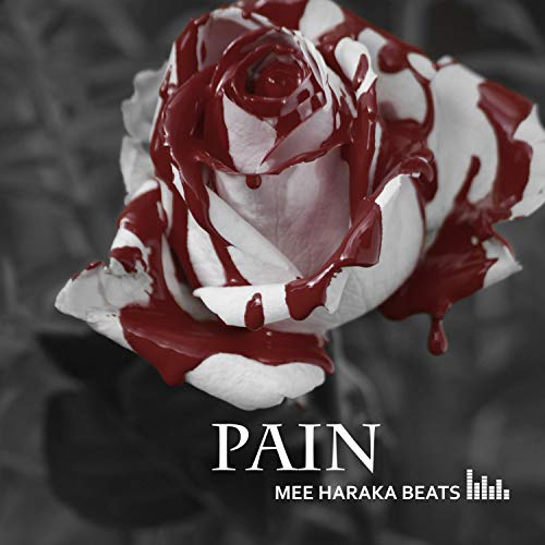 Pain by Mee Haraka on Amazon Music - Amazon.com