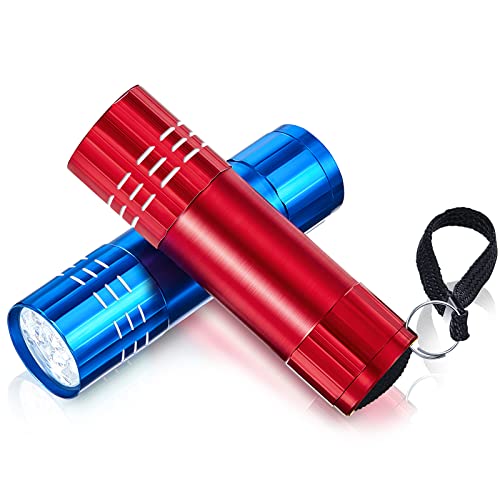 Best Blue Light Torch - Internet Eyes
