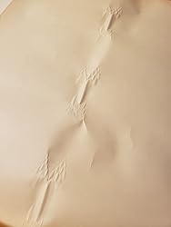 Amazon.com: Manila Pattern Paper Roll, 10 Yards x 45 Inches