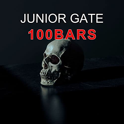 100Bars de JUNIOR GATE en Amazon Music Unlimited