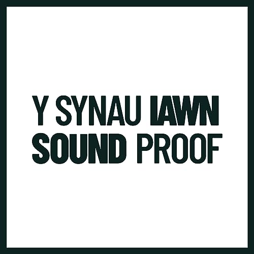 Sound Proof ┃Y Synau Iawn : Sound Proof ┃Y Synau Iawn: Amazon.in: Books