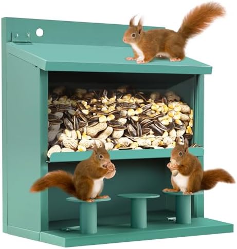 Amazon.com: Squirrel Feeders for Outside, Metal Squirrel Feeder with ...