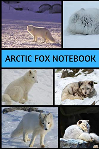 Arctic Fox Notebook: Cute Notebook For People Who Adore The Fluffy ...
