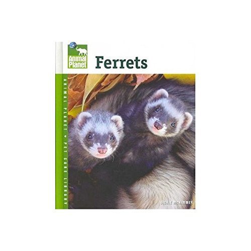 Ferrets: Winsted, Wendy: 9780876669303: Amazon.com: Books