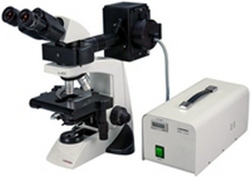 Labomed LX-400 FLR (e LED) Binocular Fluorescence Compound Microscope : Amazon.in: Industrial ...