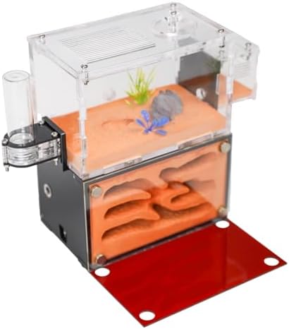 Amazon.com : Ant Farm for Live Ants with Inner Lights - Large Viewing ...