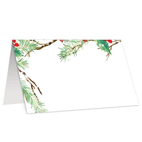 Amazon.com: Place Cards for Holiday Party (Pack of 50) Christmas Dinner ...