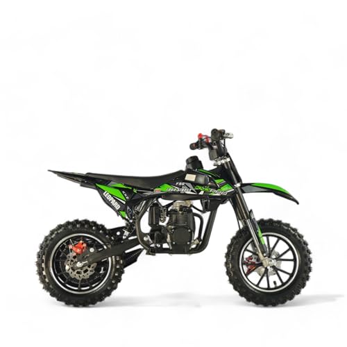 Pocket Bike Mit Straenzulassung