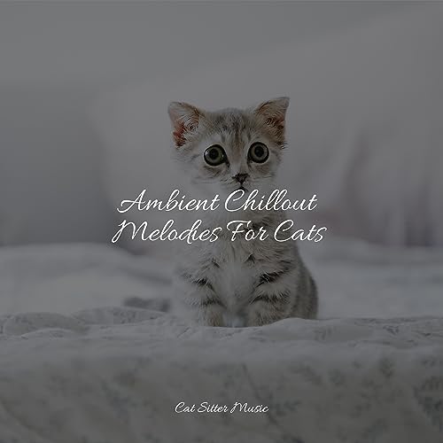 Amazon Music Unlimited - Music For Cats TA, Cats Music Zone & Music For ...