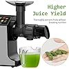 Amazon.com: whall Masticating Slow Juicer, Professional Stainless ...