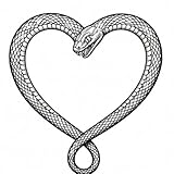 【発売日：2026年01月15日】・製造元:アルカナムカレッジレコード