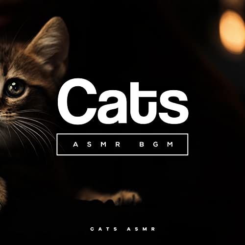 Amazon.com: Cats ASMR BGM : Cats ASMR: Digital Music