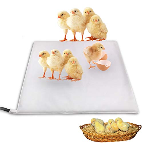 Heat Up Your Chicks' Lives with the Top 10 Heating Pads: A ...