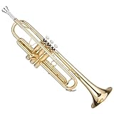 The 10 Best Cheap Trumpets In 2024