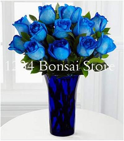 80 Pcs Exotic,Blue Rose Flower Seeds, Roses Beautiful Seeds for Home ...