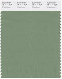 PANTONE SMART 16-6116X Color Swatch Card, Shale Green Color: Shale ...