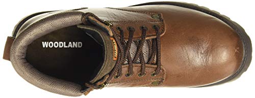 Buy Woodland Men's Gb 1905115 Ankle Boot at Amazon.in