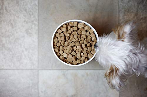 Ketogenic Pet Food Pienso Con Pollo Para Perros Y Gatos