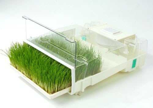 EasyGreen Automatic Sprouter : Amazon.co.uk: Home & Kitchen