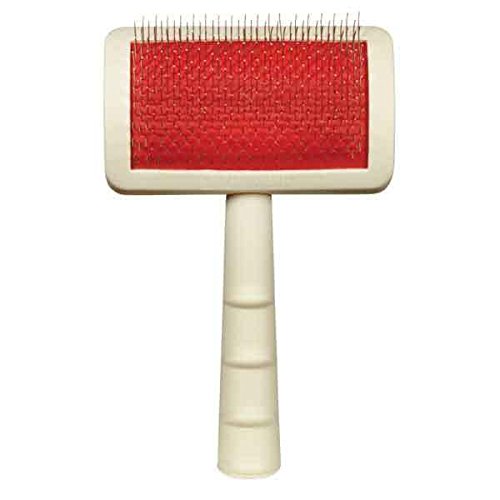 Best Dematting Tool For Bichon Frise: Top Picks For A Tangle-Free Coat ...