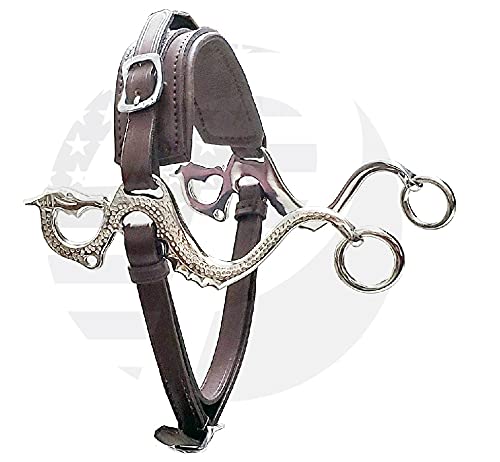 Best Hackamore for Trail Riding: Top Bitless Options for Trail and ...