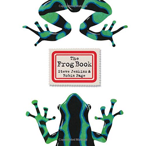 More Than 10 Paper Plate Frog Crafts for Preschool