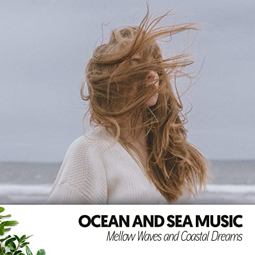 Écouter Ocean and Sea Music: Mellow Waves and Coastal Dreams par ...