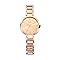 Titan Raga Women's Allure: Brown Dial with Designer Metal Strap Watch ...
