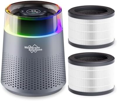 Amazon.com: MSB5 Air Purifier for Home with Two HEPA Air Filter for Smoke Pollen Dander Hair ...