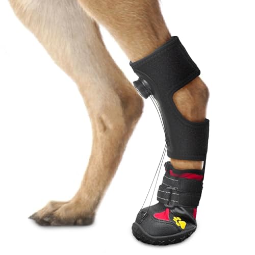 10 Best Dog Boots For Knuckling [2025]