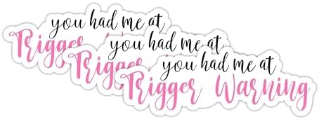 Amazon.com: (3Pcs) You Had Me at Trigger Warning Sticker Book Lover Sticker Romance Reader ...
