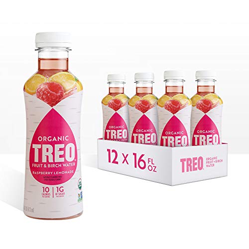Buy Treo Fruit & Birch Water Drink, Peach Mango, Pack of 12 Online at ...