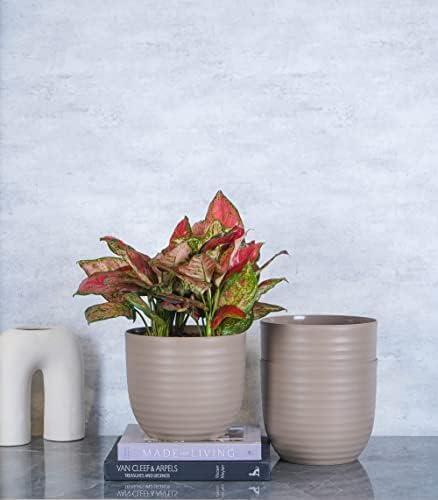 Nurturing Green® Combo of 3 Plastic Planter 'Wave' Pots (8.6 Inch Wide ...