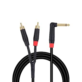 RIIEYOCA Gold Plated 1/4 Inch TS to Dual RCA Audio Cable,90 Degree ...