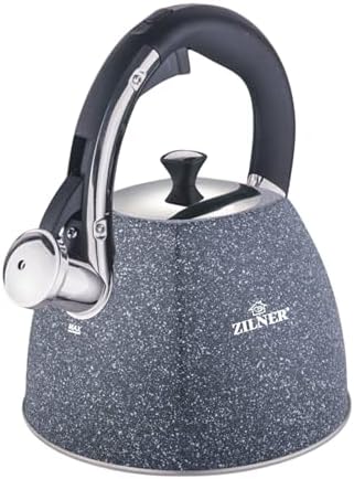 Zilner Kettle Induction Gas Stove - Steel - with Pipe and Lid - for All ...