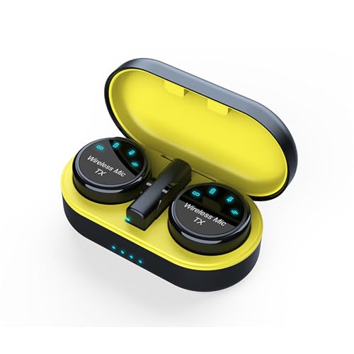 The 10 Best Wireless Microphones for Video in 2025 - Capture Crystal ...