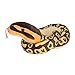 Amazon.com: Wild Republic Snakes, Snake Plush, Stuffed Animal, Plush ...