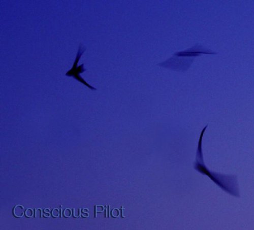 Amazon.com: Conscious Pilot: CDs & Vinyl