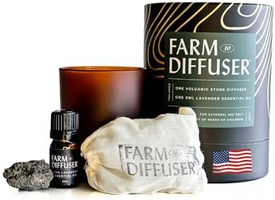 Amazon.com: Lava Rock Diffuser for Essential Oils, Waterless, Travel ...