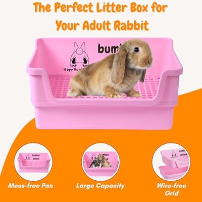 HoppScotch.bun Bumbox Deluxe Rabbit Litter Box, Nepal | Ubuy